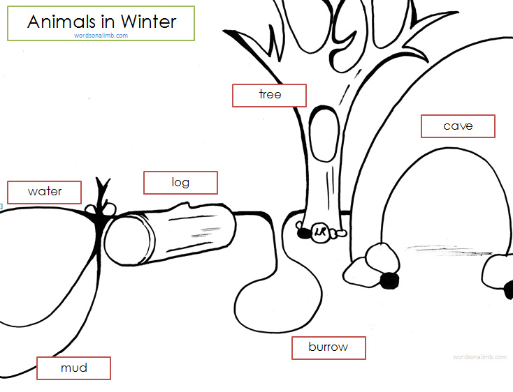 animals in winter | Words On A Limb