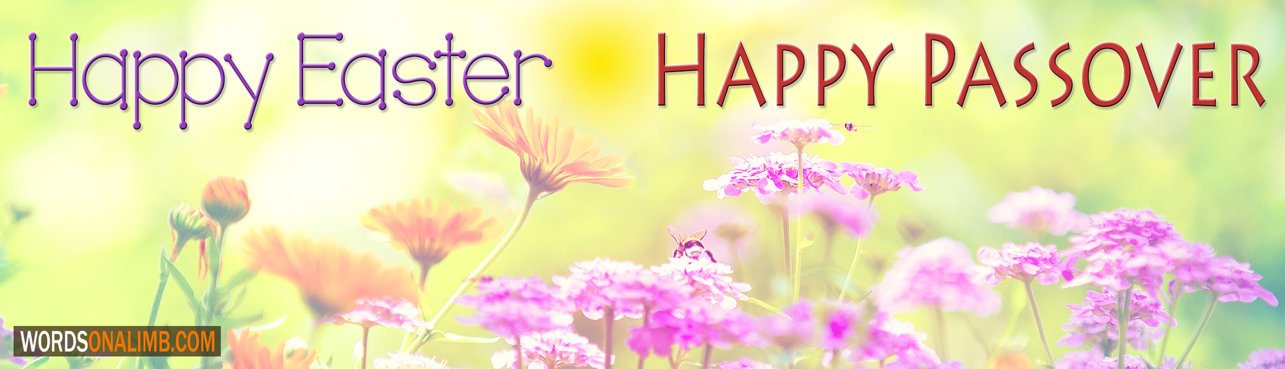 Happy Passover / Happy Easter | Words On A Limb