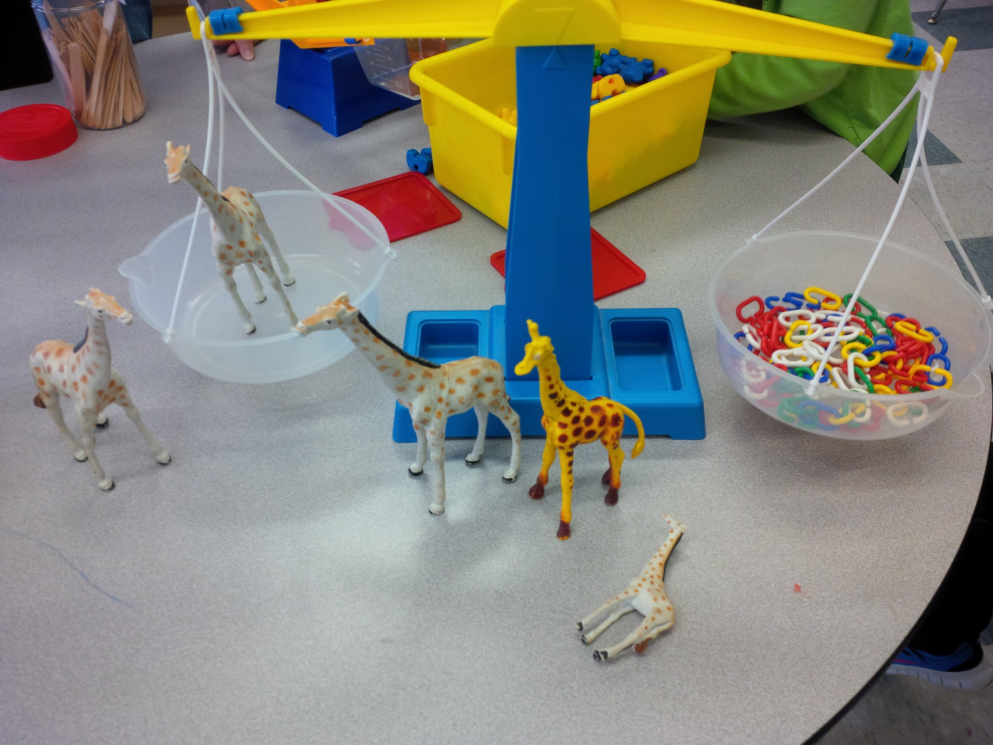 How Tall Is My Giraffe? Exploring Measurement | Words On A Limb